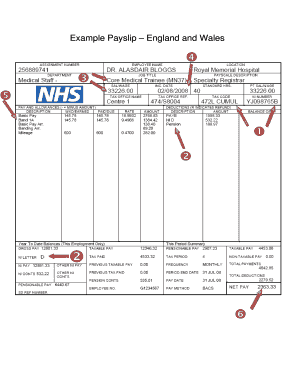 Fillable Online Example Payslip England and Wales Fax Email Print ...