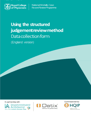 Structured Judgement Review Form - Fill Online, Printable, Fillable ...