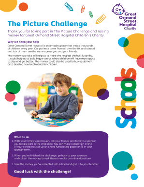 Fillable Online The Picture Challenge Fax Email Print - pdfFiller