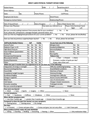 Fillable Online GREAT LAKES PHYSICAL THERAPY INTAKE FORM Fax Email ...