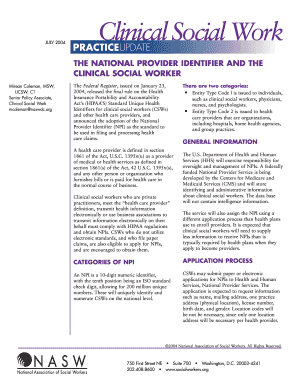 Fillable Online THE NATIONAL PROVIDER IDENTIFIER AND THE Fax Email ...