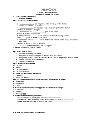 Fillable Online STD: VI Diwali Assignment Fax Email Print - pdfFiller