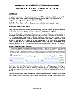 Fillable Online DESIGNATION OF AGENT: FORM 1A INSTRUCTIONS Fax Email ...