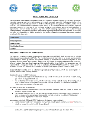 Fillable Online AUDIT FORM AND GUIDANCE Fax Email Print - pdfFiller