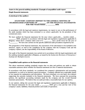 Fillable Online Annex to the general auditing standards: Example of ...