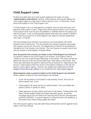 Fillable Online Child Support Liens Fax Email Print - pdfFiller