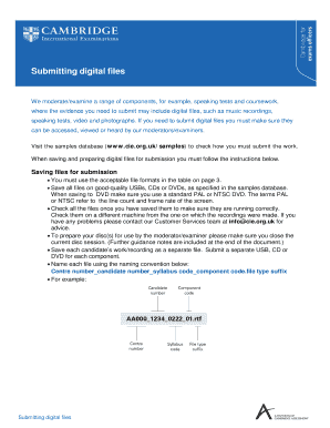 Fillable Online Submitting digital files Fax Email Print - pdfFiller