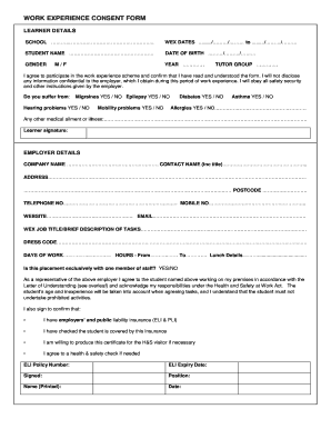 Fillable Online WORK EXPERIENCE CONSENT FORM Fax Email Print - pdfFiller
