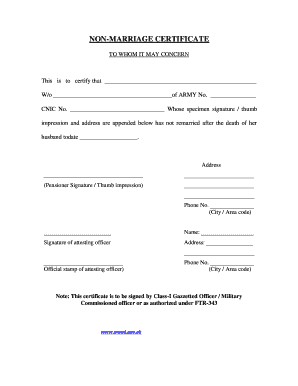 Fillable Online NON-MARRIAGE CERTIFICATE Fax Email Print - pdfFiller