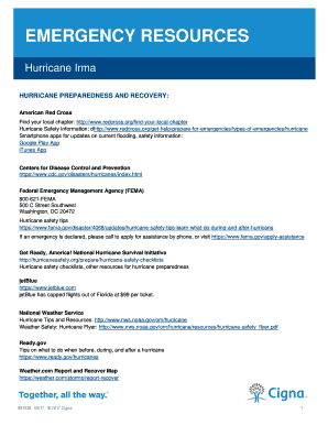 Fillable Online HURRICANE PREPAREDNESS AND RECOVERY: Fax Email Print ...