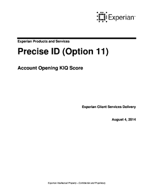 Fillable Online Precise ID (Option 11) Fax Email Print - pdfFiller