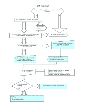Fillable Online CAR audit Fax Email Print - pdfFiller