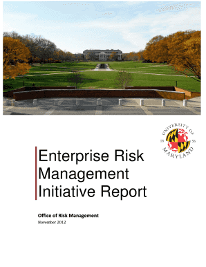 Fillable Online Initiative Report Fax Email Print - pdfFiller