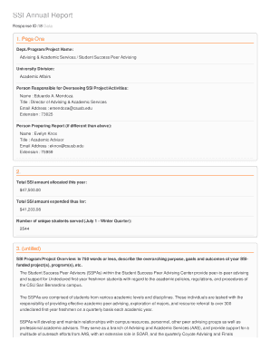 Fillable Online SSI Annual Report Fax Email Print - pdfFiller