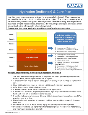 Fillable Online Hydration (Indicator) & Care Plan Fax Email Print ...