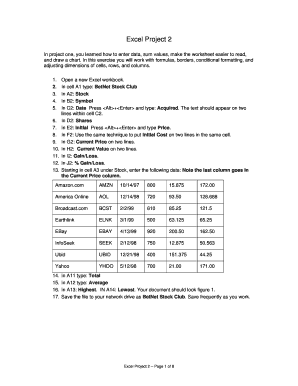 Fillable Online Excel Project 2 Fax Email Print - pdfFiller