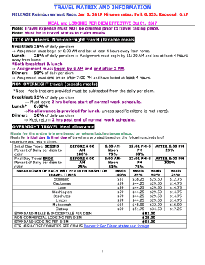Fillable Online TRAVEL MATRIX AND INFORMATION Fax Email Print - pdfFiller