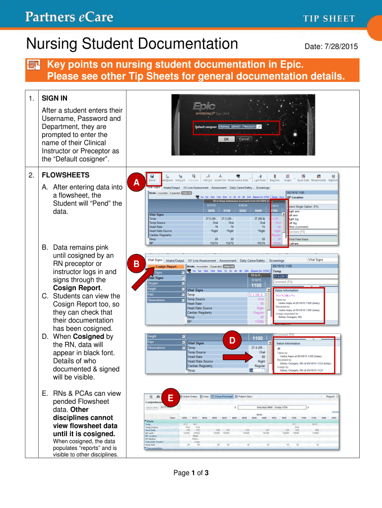 Fillable Online Nursing Student Documentation Fax Email Print - pdfFiller