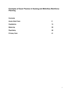 Fillable Online Examples of Good Practice in Nursing and Midwifery ...