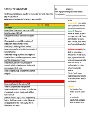 Fillable Online FGM Safeguarding and Risk Assessment Tool Fax Email ...