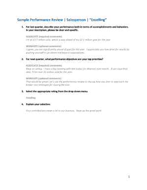 Fillable Online Sample Performance Review Salesperson Excelling Fax ...