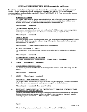 Fillable Online SPECIAL INCIDENT REPORTS (SIR) Documentation and ...