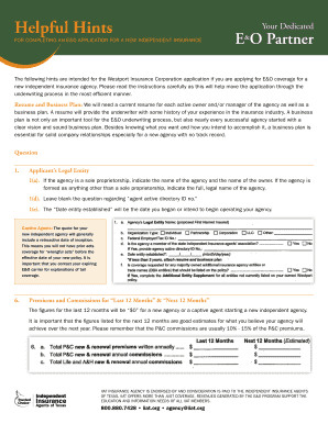 Fillable Online for completing an E&O Application for a New Independent ...