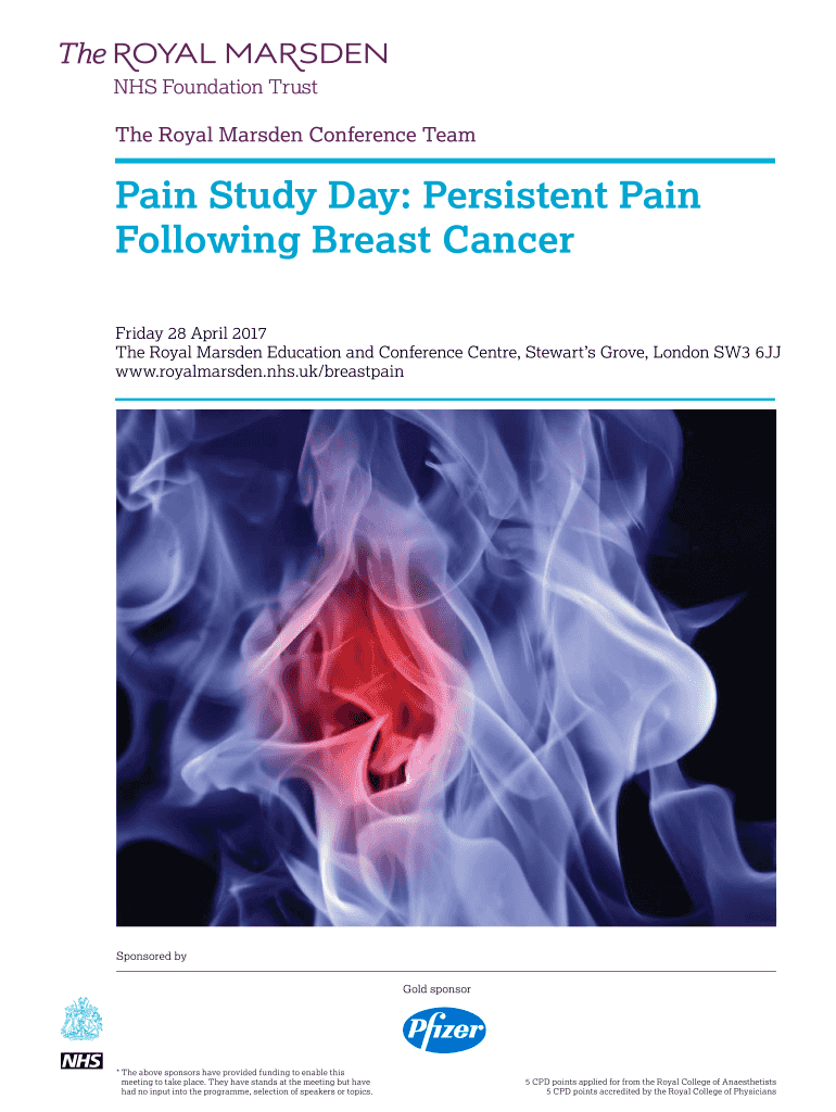 Fillable Online Pain Study Day: Persistent Pain Fax Email Print - pdfFiller
