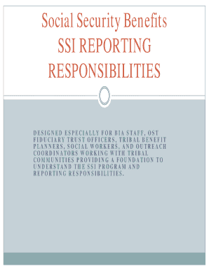 Fillable Online SSI REPORTING Fax Email Print - pdfFiller