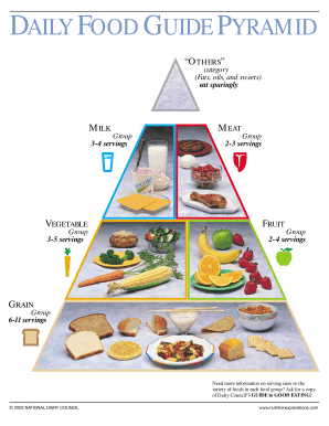 Fillable Online DAILY FOOD GUIDE PYRAMID Fax Email Print - pdfFiller