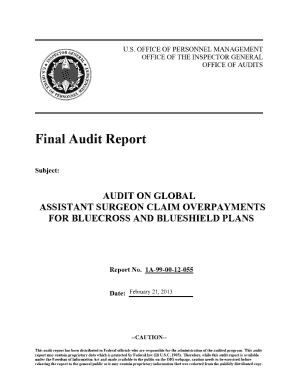 Fillable Online opm AUDIT ON GLOBAL - opm Fax Email Print - pdfFiller