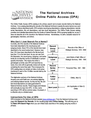 Fillable Online Online Public Access (OPA) Fax Email Print - pdfFiller
