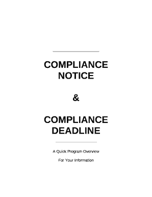 A Quick Program Overview Doc Template | pdfFiller