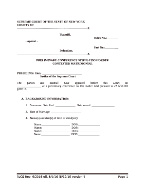 PRELIMINARY CONFERENCE STIPULATION/ORDER Doc Template | pdfFiller
