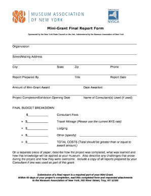Mini-Grant Final Report Doc Template | pdfFiller