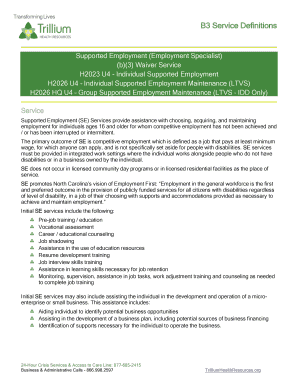 Fillable Online B3 Service Definitions Fax Email Print - pdfFiller