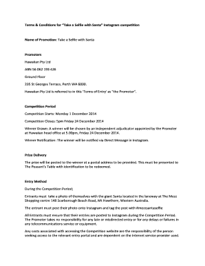 Fillable Online Terms & Conditions for Take a Selfie with Santa ...
