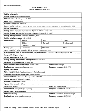 Fillable Online AUDIT FINAL REPORT Fax Email Print - pdfFiller