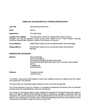 Fillable Online TEMPLATE JOB DESCRIPTION & PERSON SPECIFICATION Fax ...