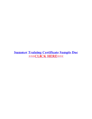 Fillable Online Summer Training Certificate Sample Doc Fax Email Print ...
