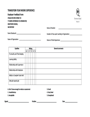 Fillable Online TRANSITION YEAR WORK EXPERIENCE Fax Email Print - pdfFiller