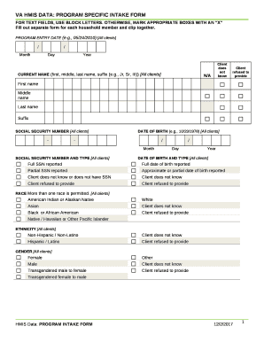 VA HMIS DATA: PROGRAM SPECIFIC INTAKE Doc Template | pdfFiller