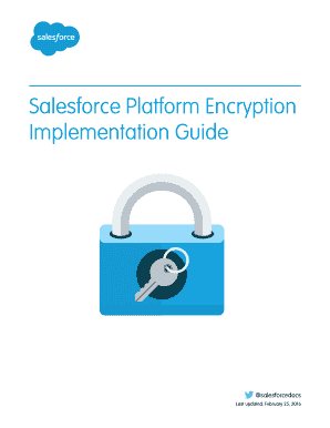 Fillable Online Salesforce Platform Encryption Fax Email Print - pdfFiller