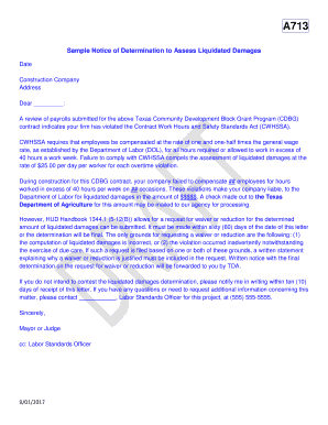 Fillable Online Sample Notice of Determination to Assess Liquidated ...