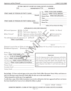 Fillable Online PRINT YOUR CASE NUMBER Fax Email Print - pdfFiller