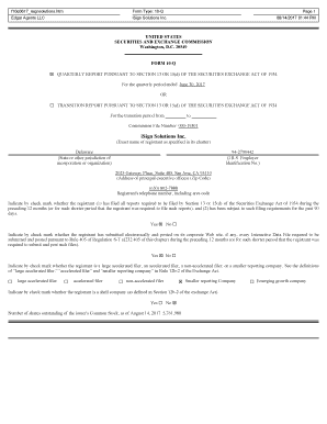 Fillable Online Form Type: 10-Q Fax Email Print - pdfFiller