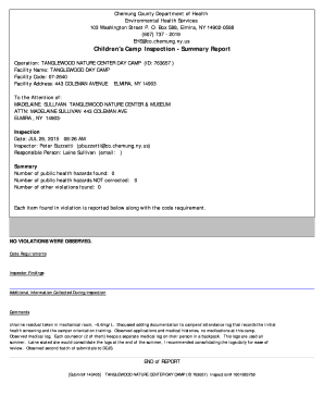 Fillable Online Children's Camp Inspection - Summary Report Fax Email ...