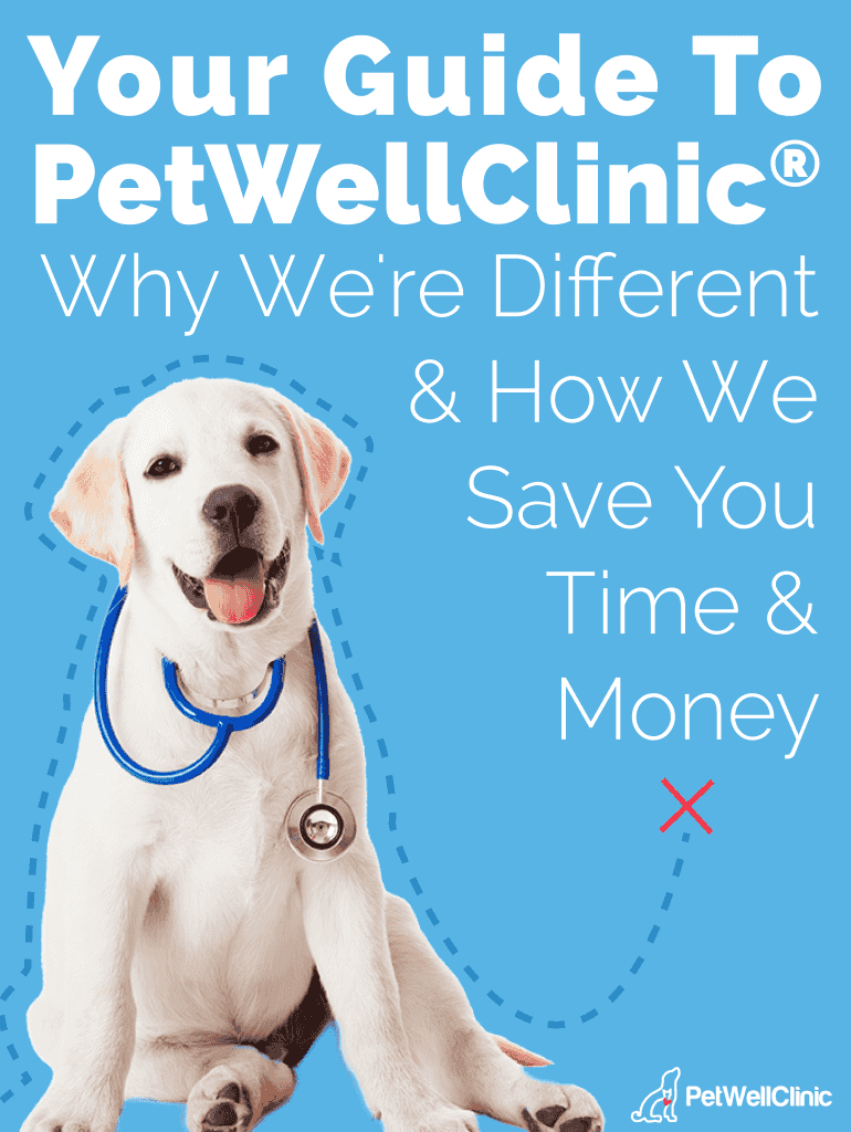 Fillable Online Why We're Different Fax Email Print - pdfFiller