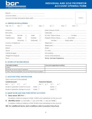Fillable Online INDIVIDUAL AND SOLE PROPRIETOR Fax Email Print - pdfFiller