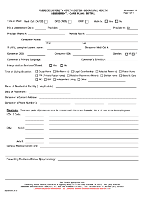Fillable Online ASSESSMENT / CARE PLAN: INITIAL Fax Email Print - pdfFiller